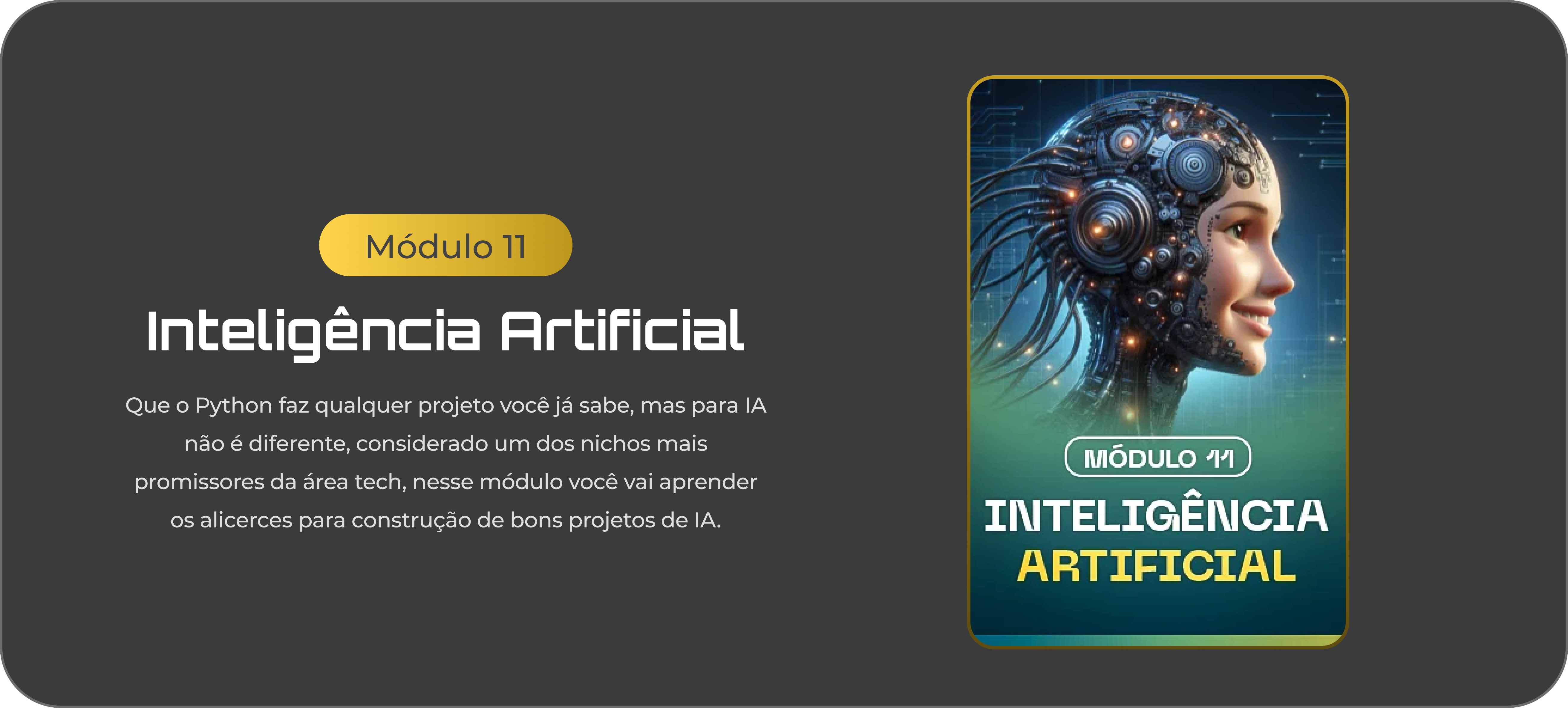 Python Pro – Comece sua jornada python agora mesmo